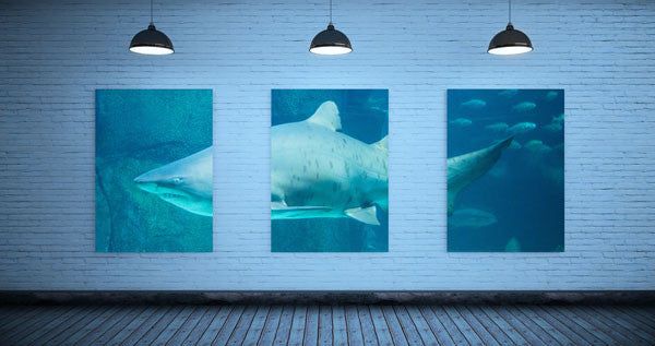 Large Format Printing Posters | Arch 5 Design | Bermondsey Street